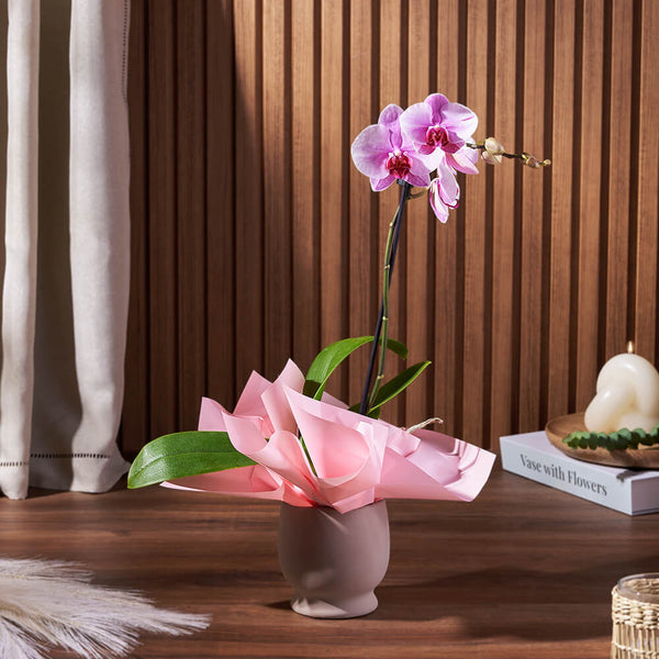 Potted Mini Phalaenopsis Orchid – Flower gift baskets – Hamilton ...