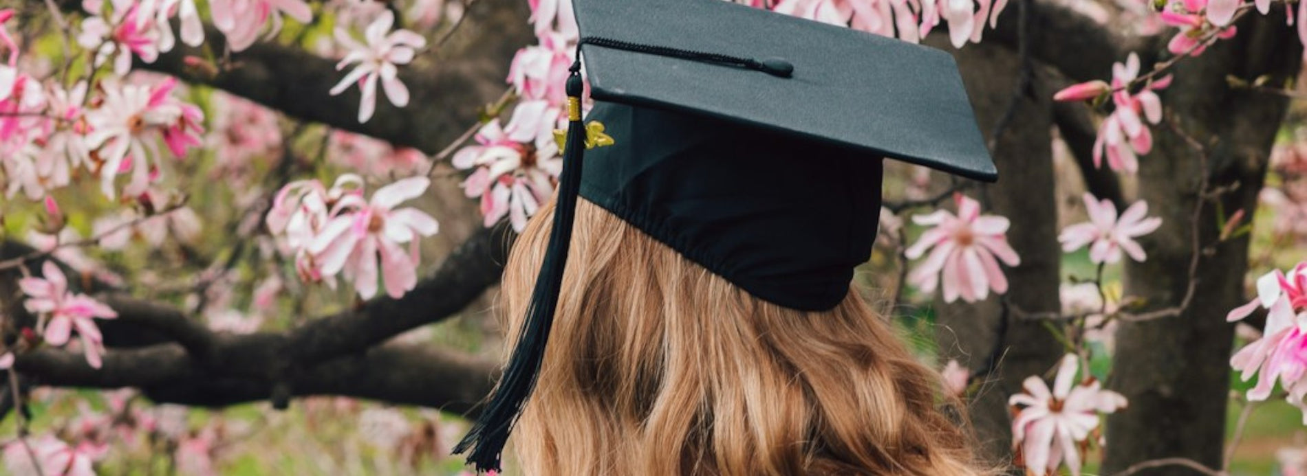 Hamilton's #1 Gift Baskets, Free Delivery, Customize Any Basket ...